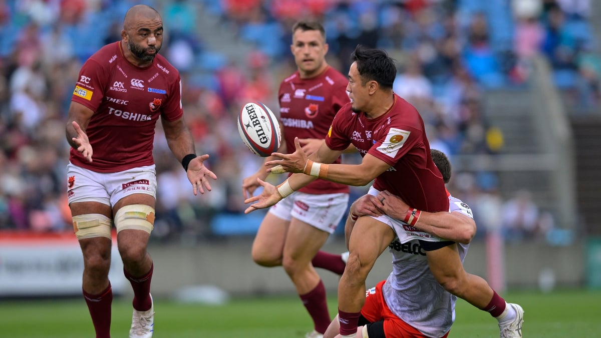 Toshiba Brave Lupus vs Wild Knights Predictions - Toshiba Brave Lupus ...