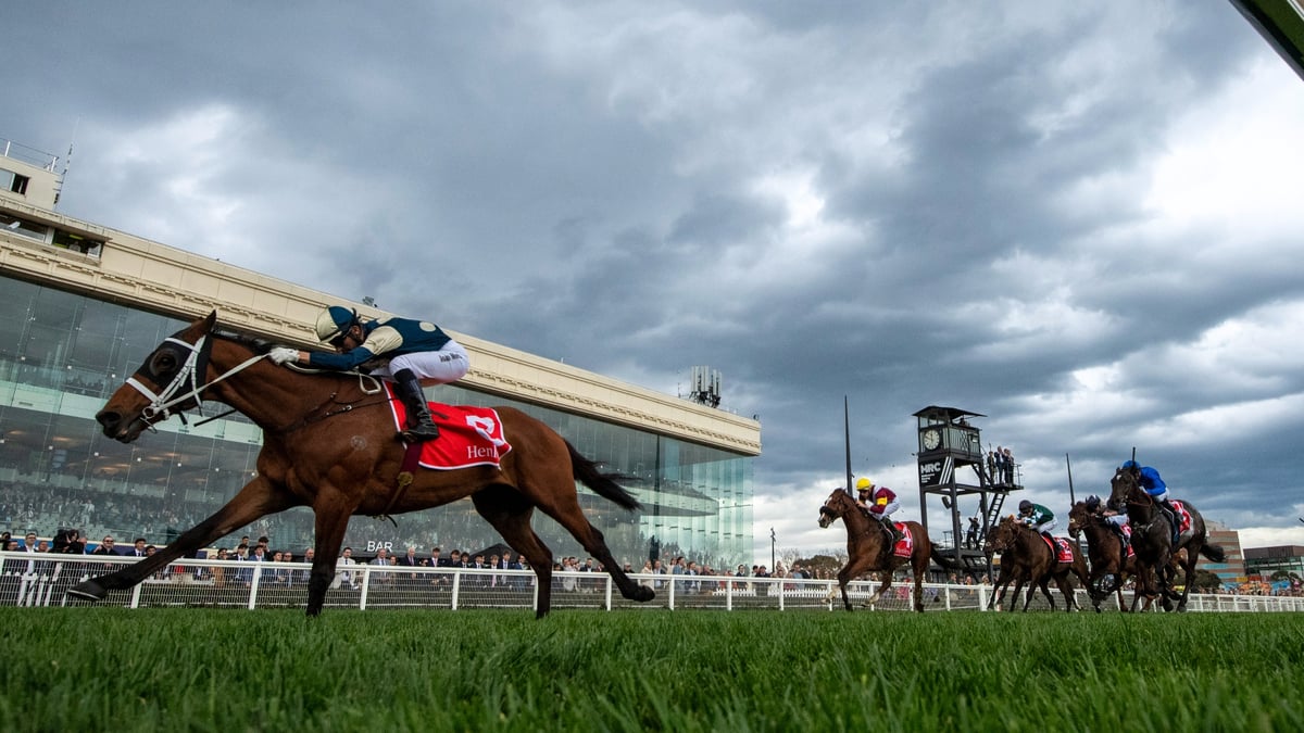 Underwood Stakes 2025 - Barrier Draw & Final Field