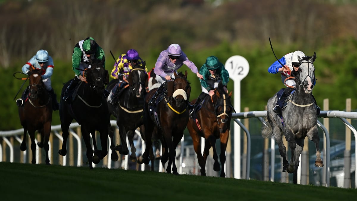 Vaal Horse Racing Tips - Get all the racing tips for Thursday, 9 ...