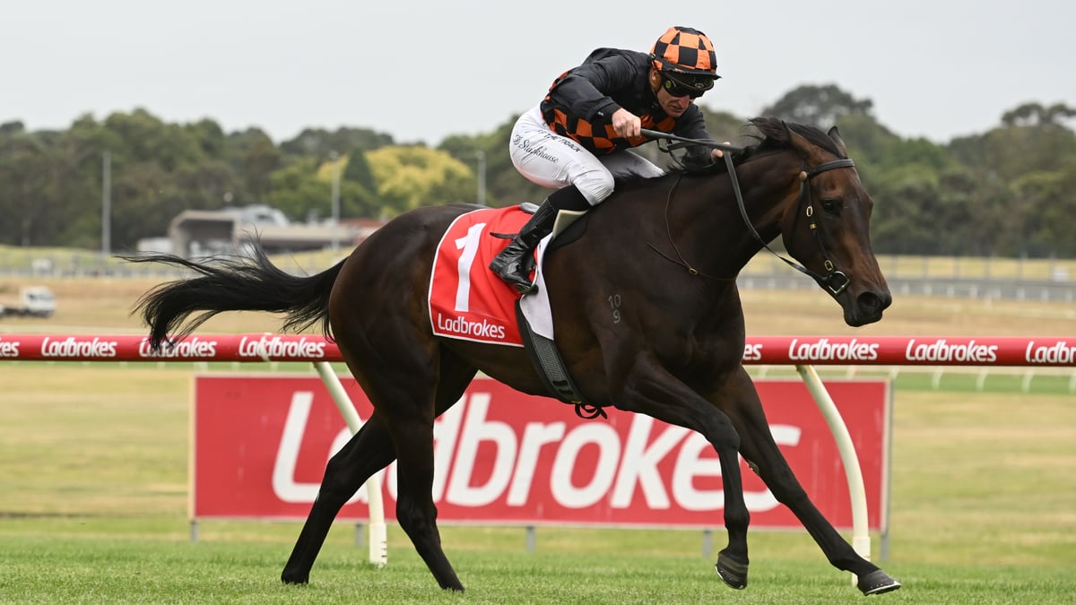 Winterbottom Stakes 2025 - Barrier Draw & Final Field