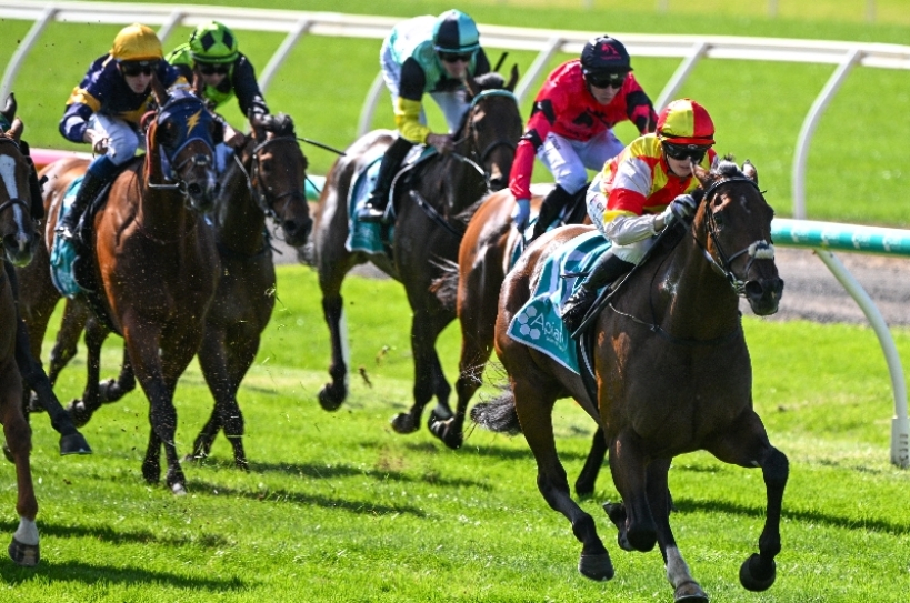 Wodonga Racing Tips for November 28- Reset The Jazz is the one to beat ...