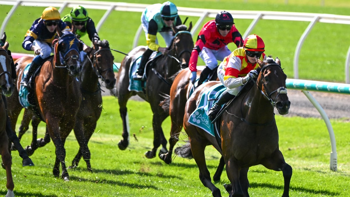 Wodonga Betting Tips for August 5, 2025 - Red to surprise in the finale