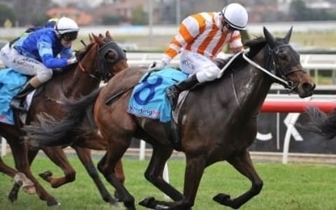 Yarra Glen Racing Tips for January 21- Gellhorn to be too classy for ...