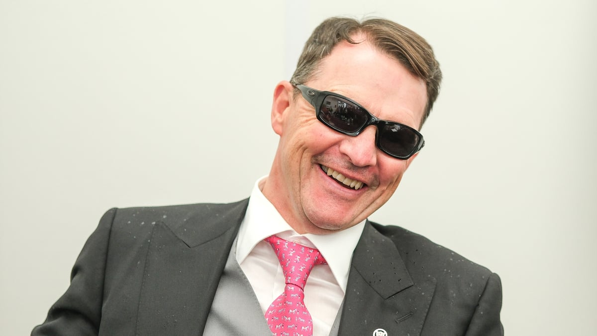 Aidan O'Brien Stable Tour 2026 | Quotes from Ireland's Top Flat Trainer
