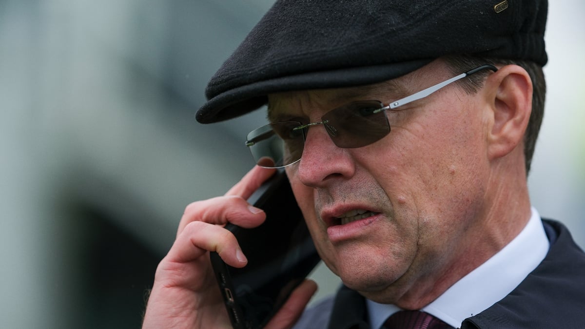 Aidan O'Brien Stable Tour 2025 | Quotes from Ireland's Champion Flat ...