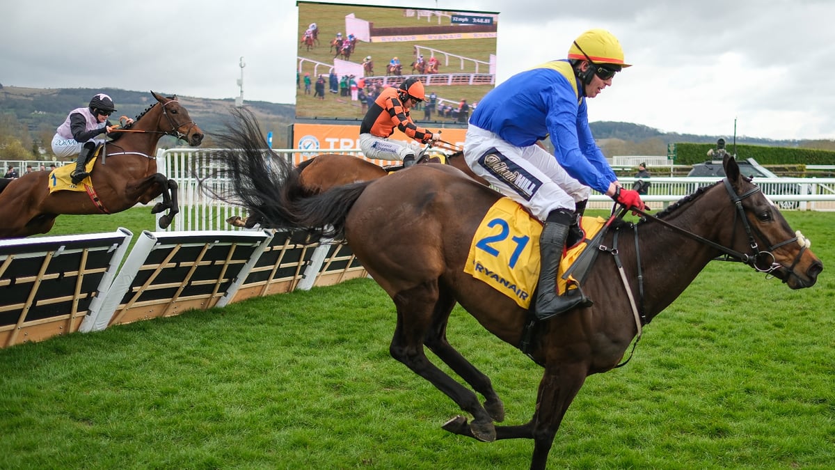 Cheltenham Festival 2026 Ante-Post Tips | Queally's mare can star on St ...