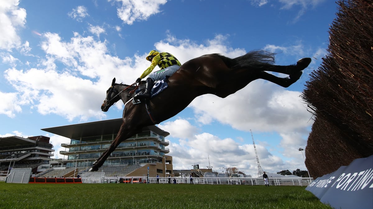Arkle Challenge Trophy 2026 Tips: Predictions & Best Bets