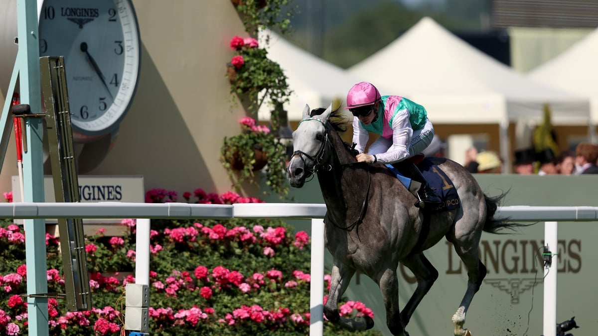 Royal Ascot 2025 Day 1 | Live Updates, News, Results and Photos