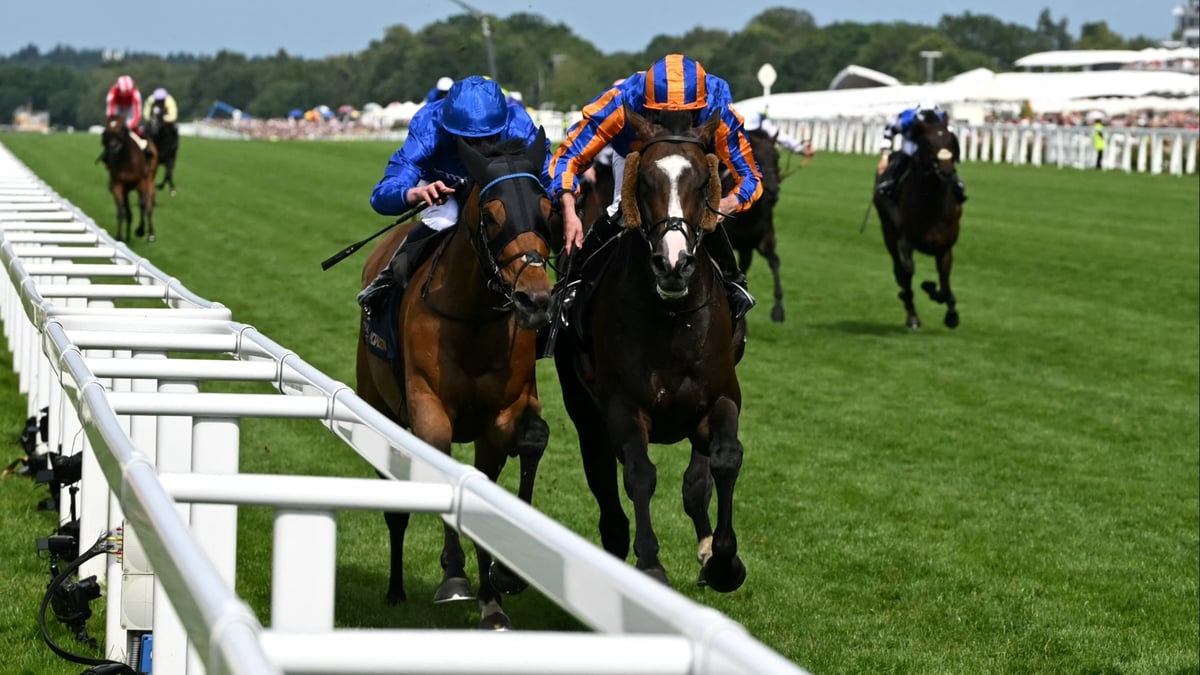 Royal Ascot 2026 Day 2: Live Updates, Results, and Photos
