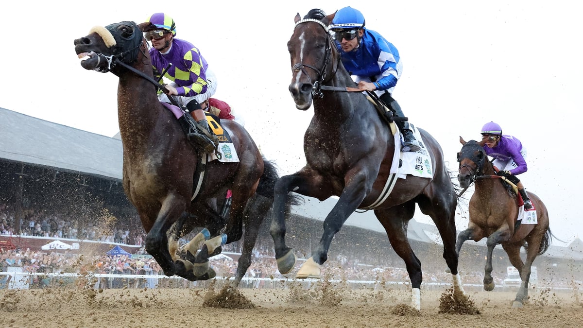 2025 Breeders' Cup Day 2 Tips | Nine Group Ones covered at Del Mar on ...