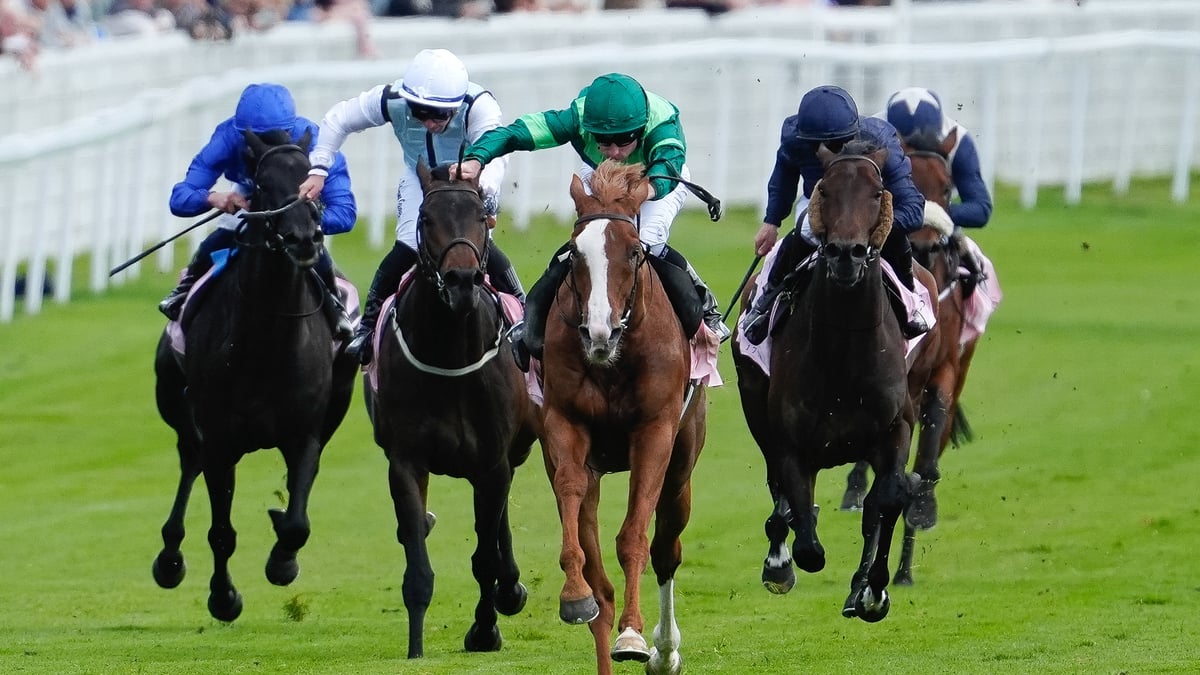 2026 Epsom Derby Odds: Benvenuto Cellini leads Item in Classic market