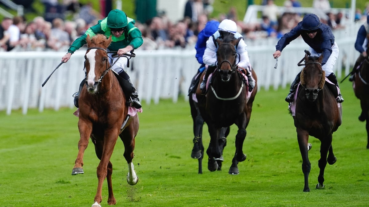 Epsom Derby 2026 Odds on 6.6.26: Benvenuto Cellini remains the favourite