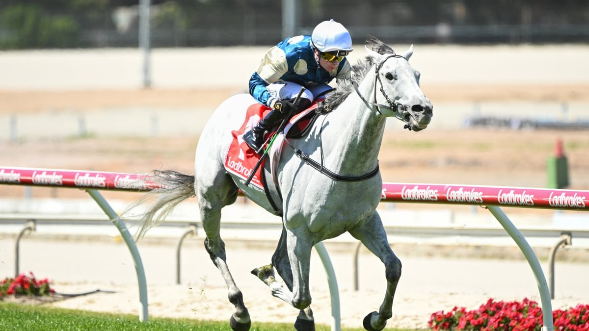 Big Saturday Bets for February 14