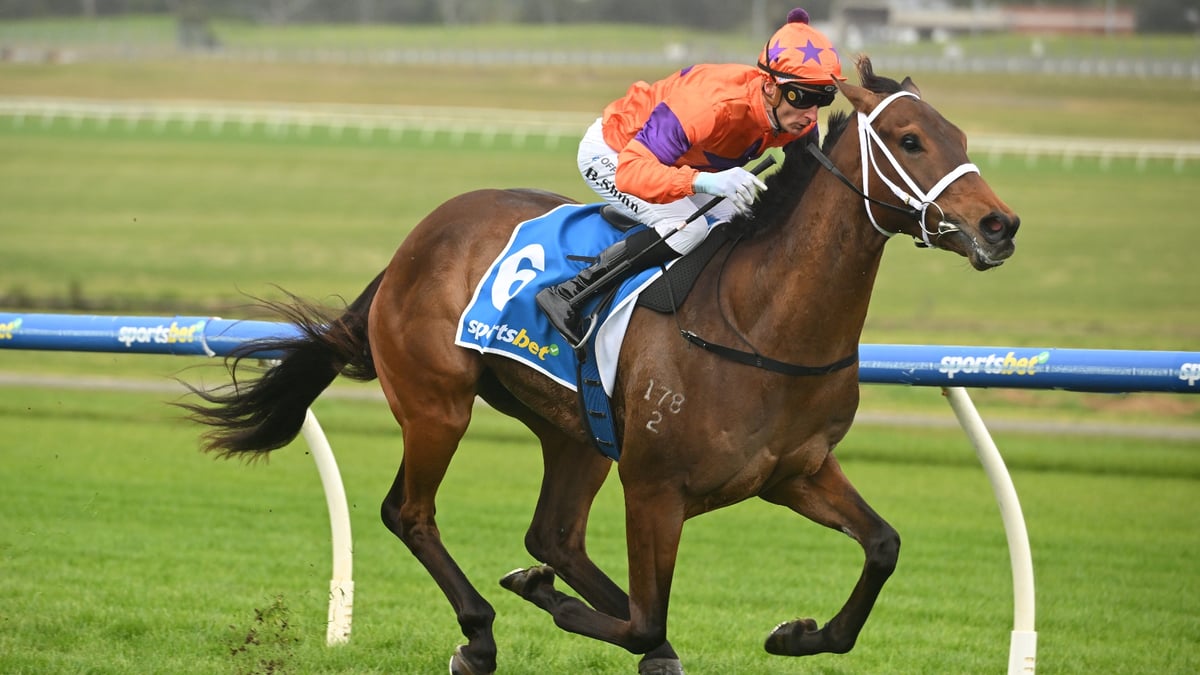 Big Saturday Bets for November 1