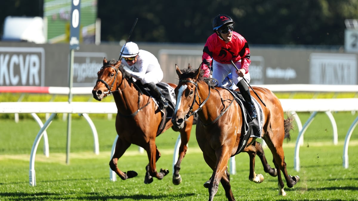 Big Saturday Bets for October 4