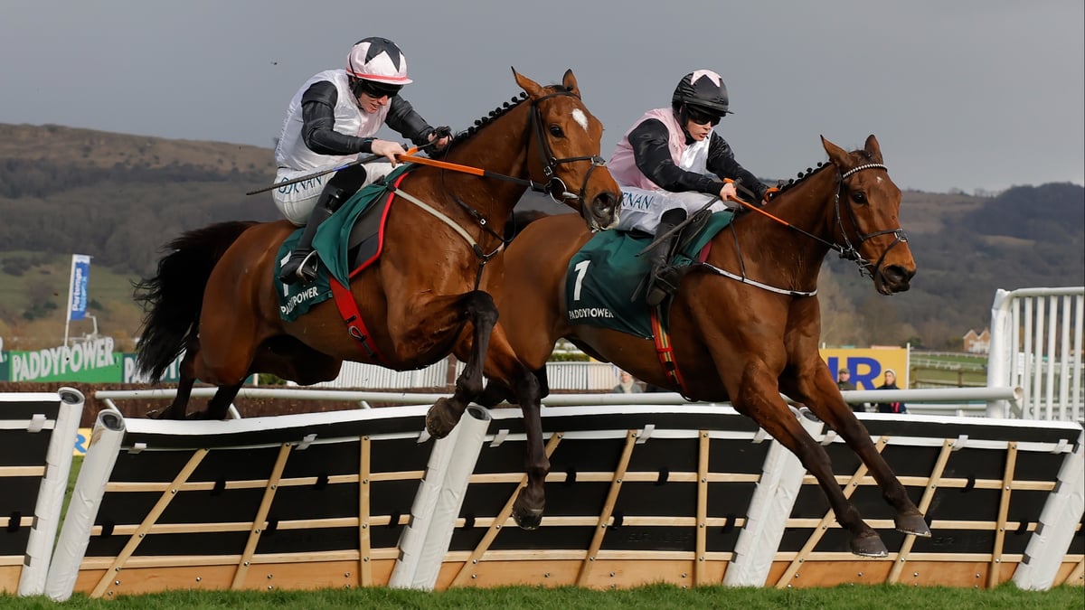 2026 Stayers' Hurdle Entries | Bob Olinger and Teahupoo head list of 29 ...