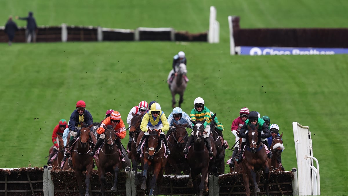 Fred Winter Juvenile Handicap Hurdle 2025 Tips | Free Preview & Betting ...