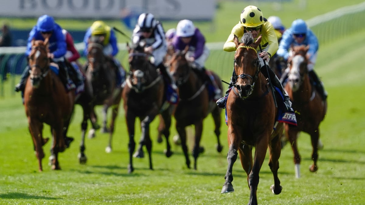 2026 St James's Palace Stakes Odds: Bow Echo and Gstaad to claim again ...