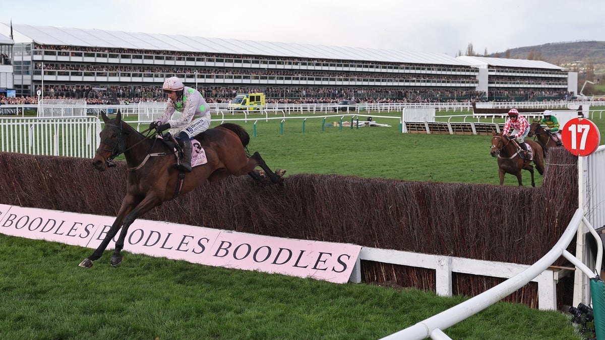 Cheltenham Gold Cup Result 2026: Winner and Full Results