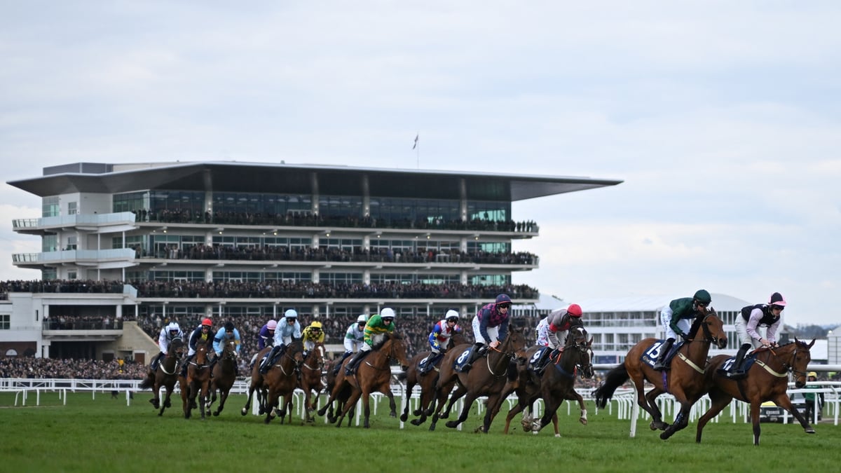 Cheltenham 2026 News | Assessing The Irish Entrants