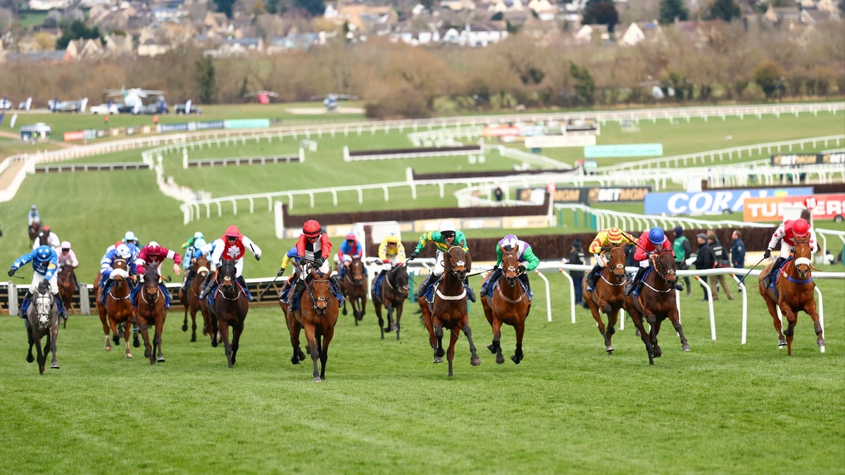 Cheltenham Day 2 Tips 2026: Best Bets for Wednesday’s Festival Races