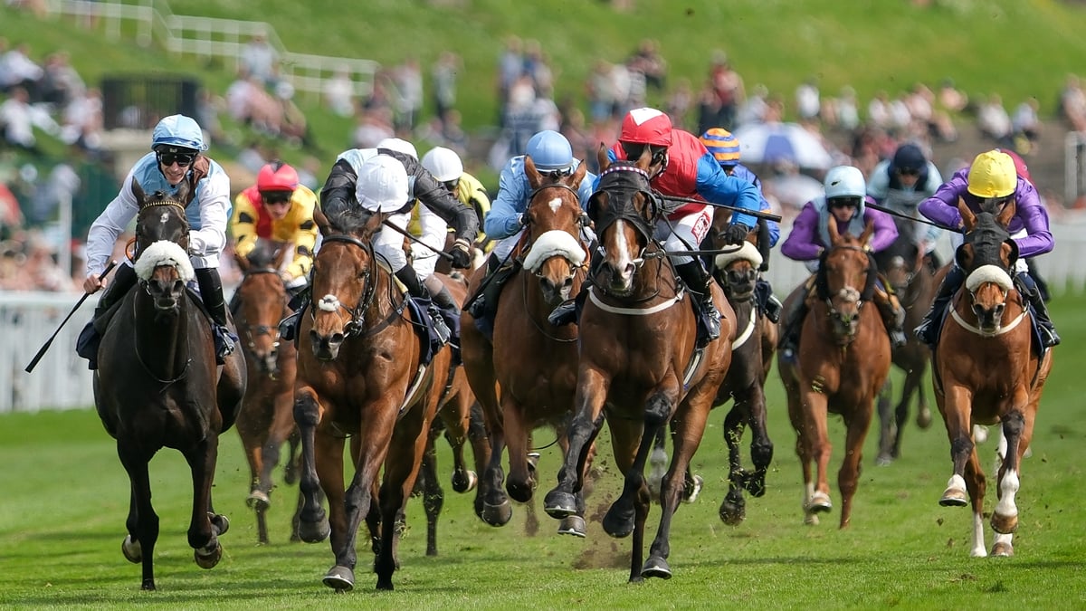 2025 Chester Cup Tips | Odds, trends and two tips