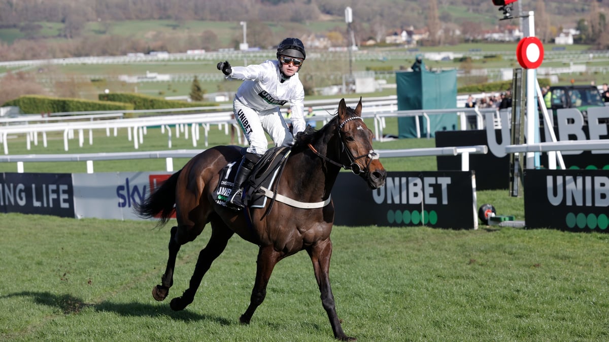 Cheltenham Festival 2025 | Key Races and Horses to Watch