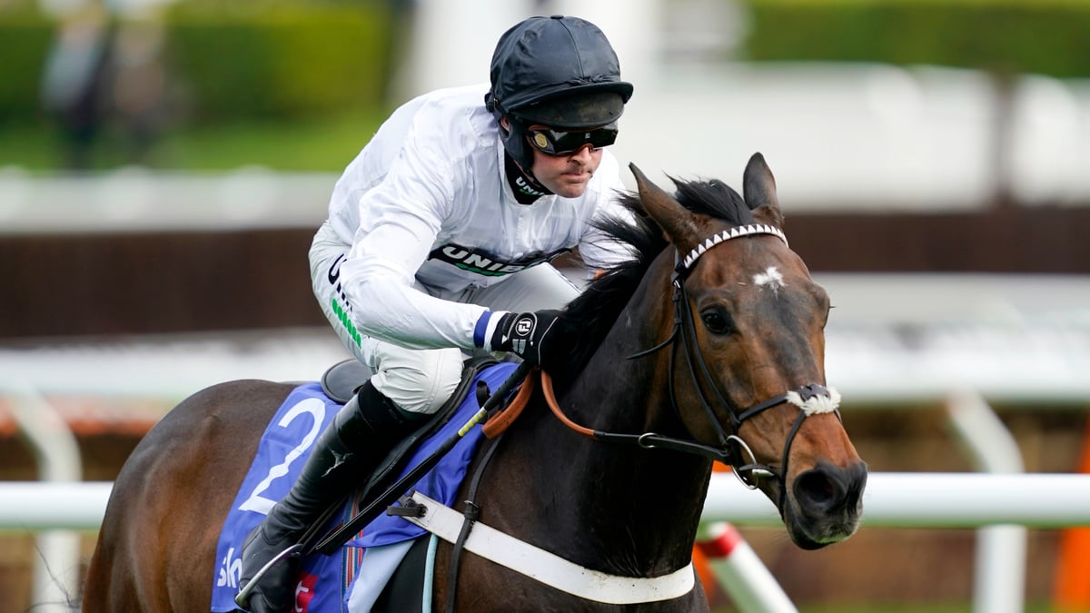 Racing News | Constitution Hill will not run at the Cheltenham Festival