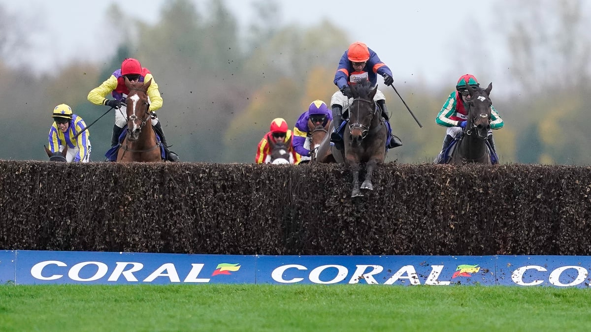 2025 Coral Gold Cup Tips | Early 20/1 selection for Newbury's big handicap