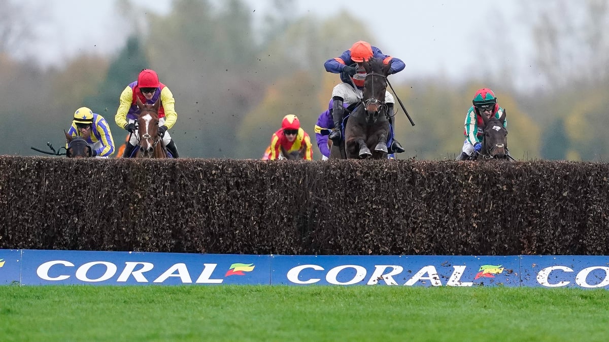 2025 Coral Gold Cup Live Stream | Watch the Newbury race online