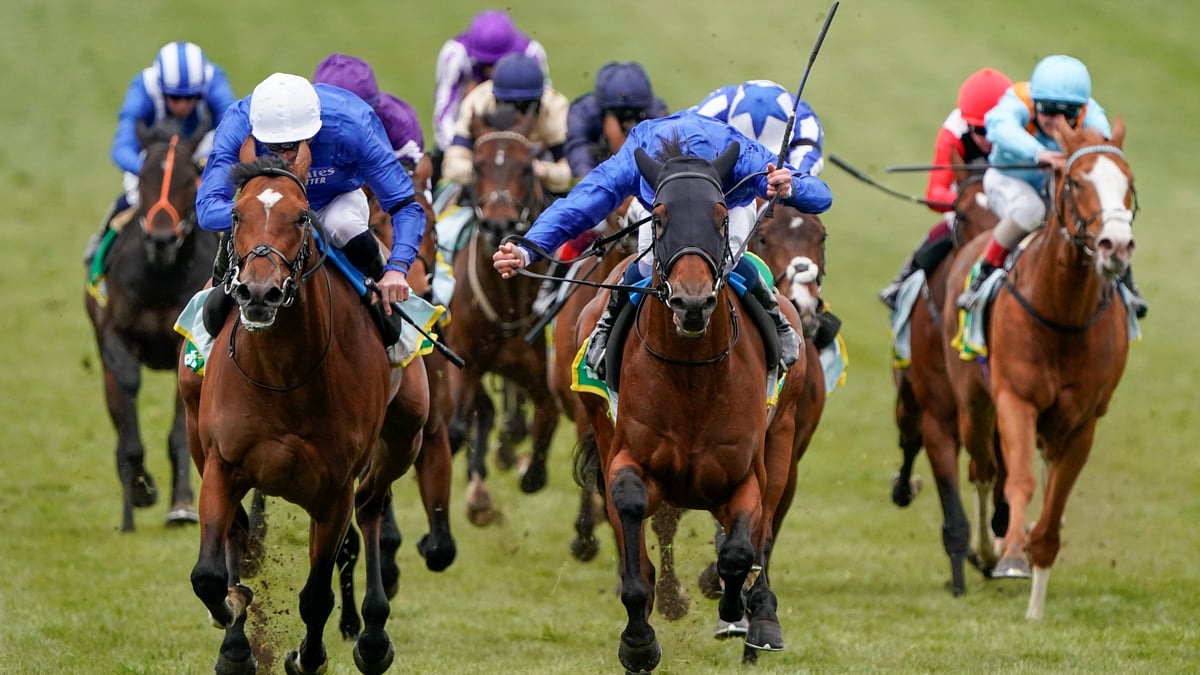 2026 Craven Stakes Odds: Hidden Force tops Newmarket betting