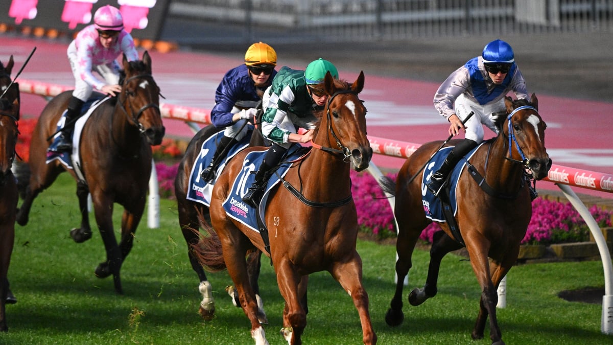 Get $3 for Rich Dottie to Win or Run Top 2 at Moonee Valley (Race 4)