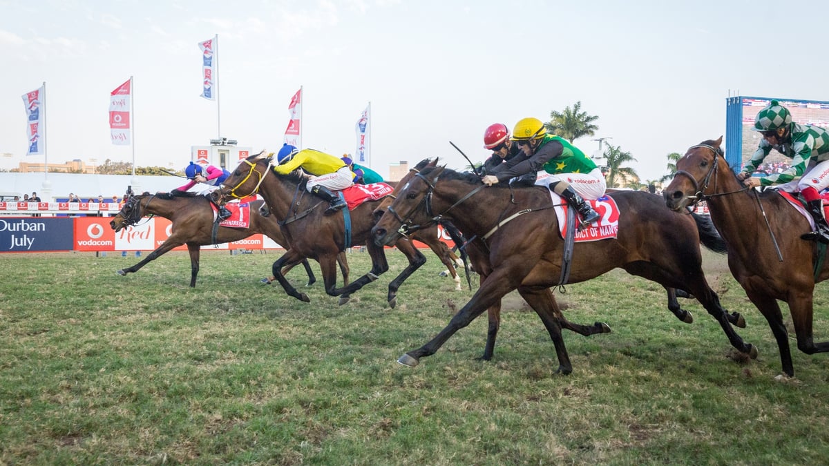 2025 Durban July Runners - Get our guide to the odds and chances of all ...