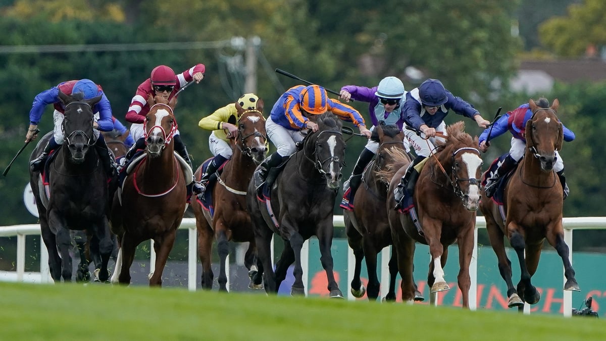 2025 Irish Champions Weekend News | Full Schedule and New Races