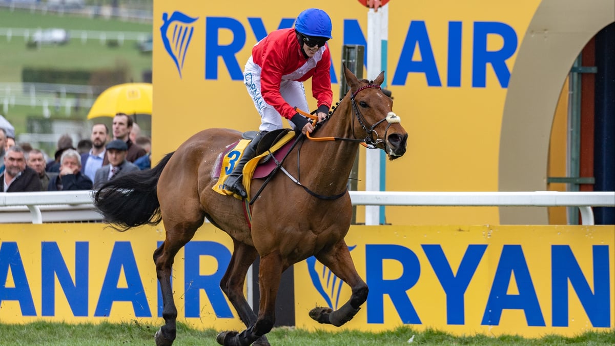 2025 BetVictor Champion Chase Tips | Can Envoi Allen claim a hat-trick ...