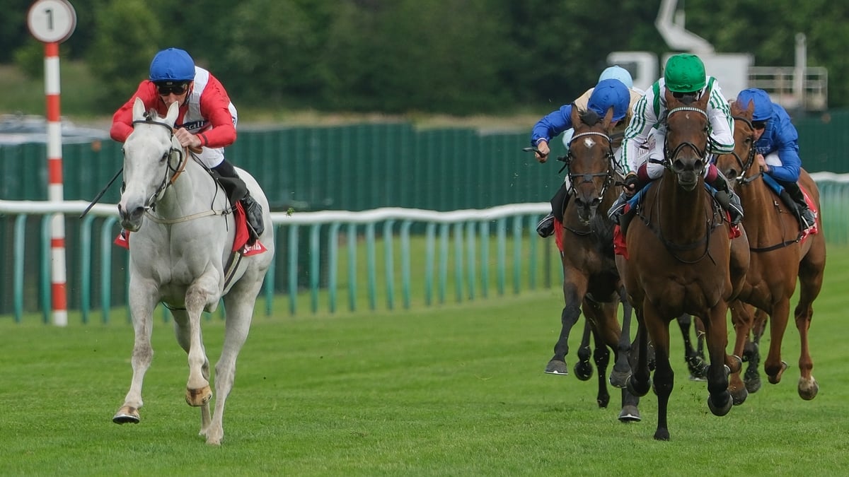 2026 Lester Piggott Fillies' Stakes Odds: Estrange favourite on Haydock ...