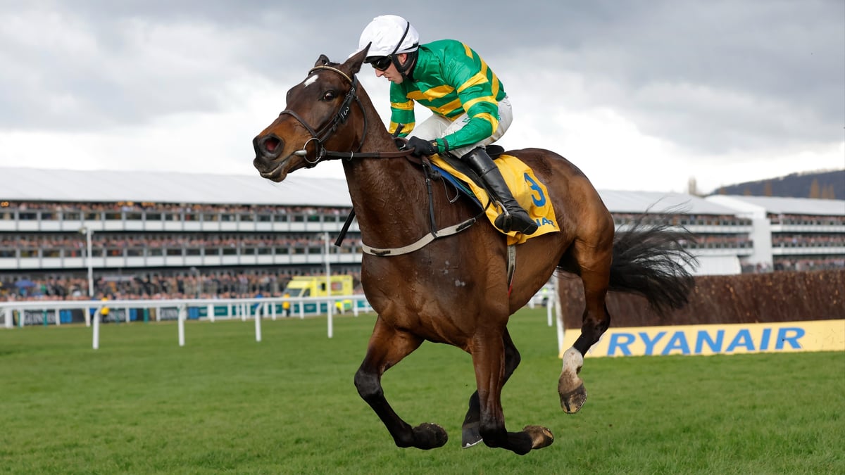 2025 John Durkan Memorial Chase Odds | Fact To File heads quality ...
