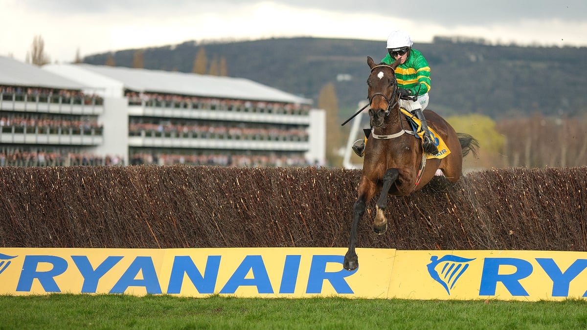 2026 Ryanair Chase Odds | Fact To File set for Gold Cup switch?