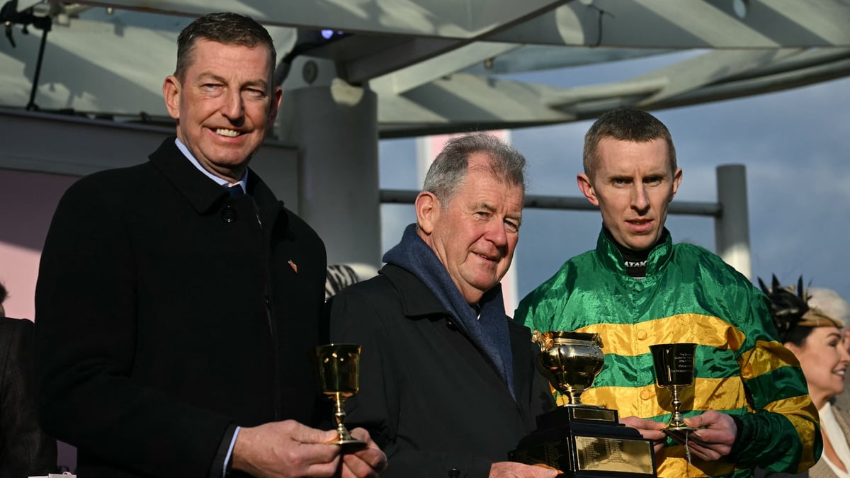 Gavin Cromwell Stable Tour 2025/26 | Key quotes from Gold Cup-winning ...