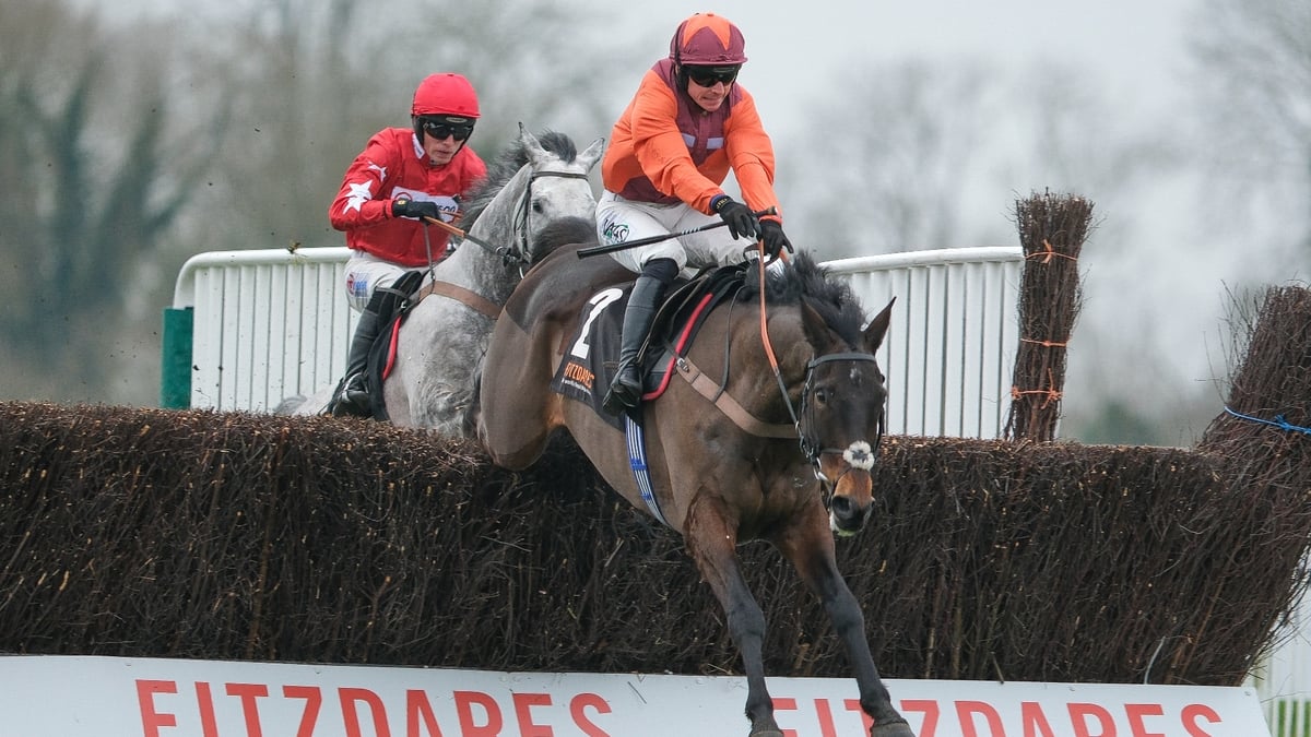 2026 Lightning Novices' Chase Live Stream | Watch the Windsor race online