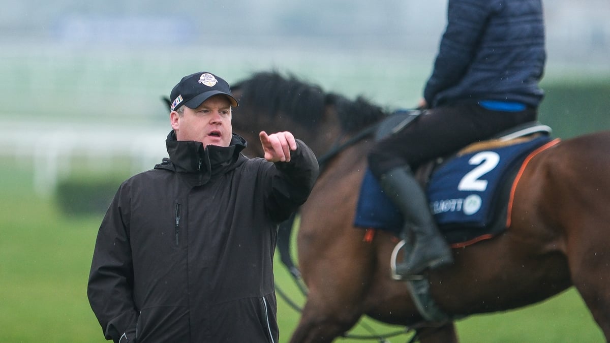 Gordon Elliott Stable Tour 2025/26 | Key quotes from leading Irish trainer