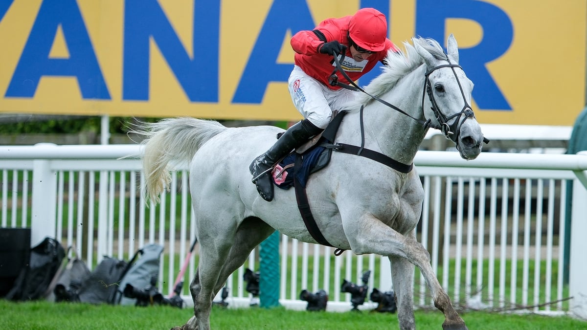 2025 Betfair Chase Result | Grey Dawning wins at Haydock on November 22nd