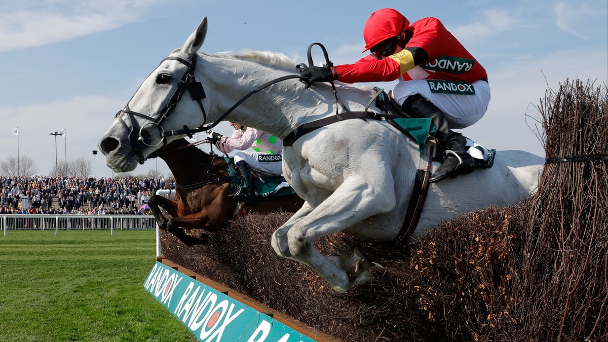 2026 Betfair Chase News | Dates and vital information.