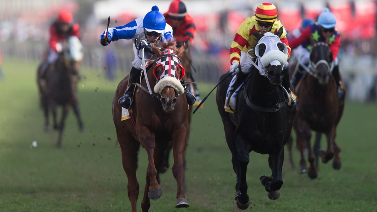 Durban July 2026 Runner Profile: Back Star Major To Win