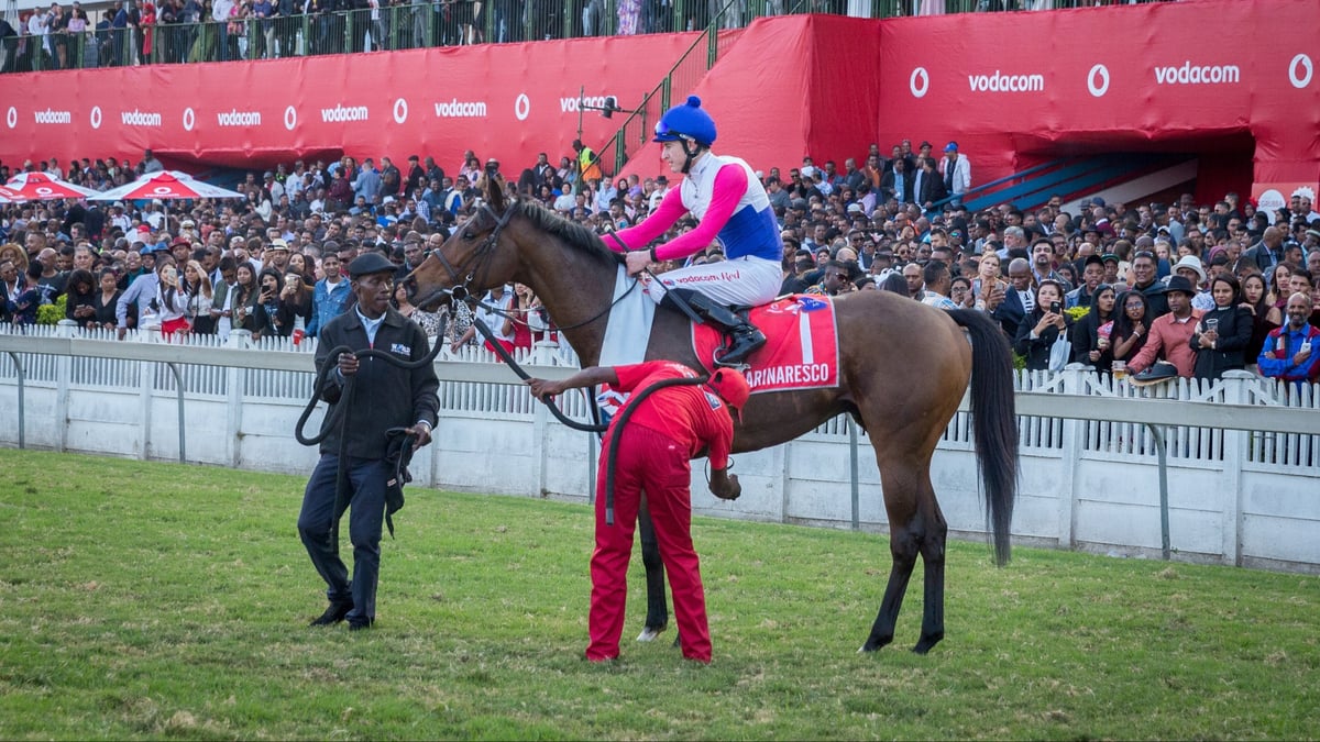2026 Durban July Betting News | Star Major the new favourite after ...