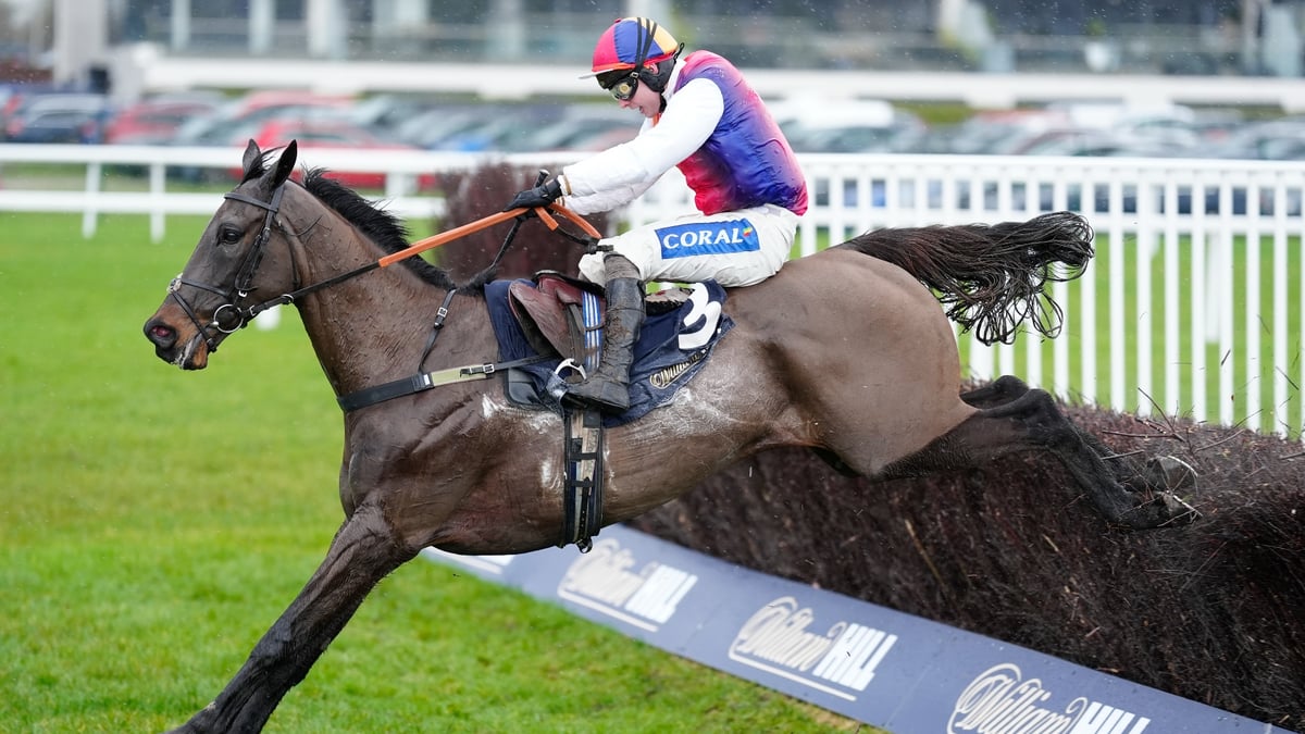 Eye On Cheltenham Week 13 | Sober Glory, Haiti Couleurs and Lulamba ...