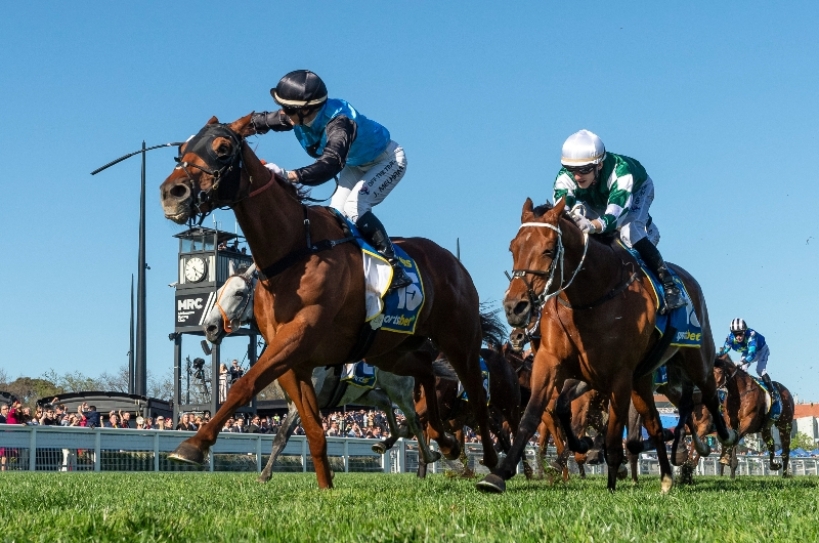 2025 Melbourne Cup Betting Odds & Latest Market - Half Yours favourite ...