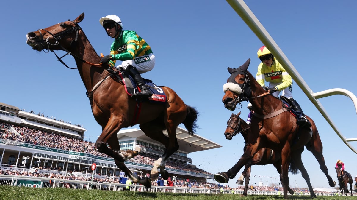 Cheltenham Festival 2026 Ante-Post Tips | Take 16/1 about this Stayers' Hurdle contender