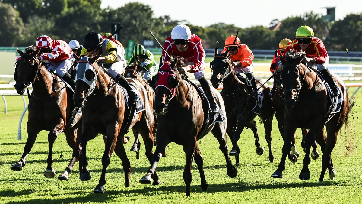 Turffontein in Johannesburg Horse Racing Tips - Get all the racing tips ...