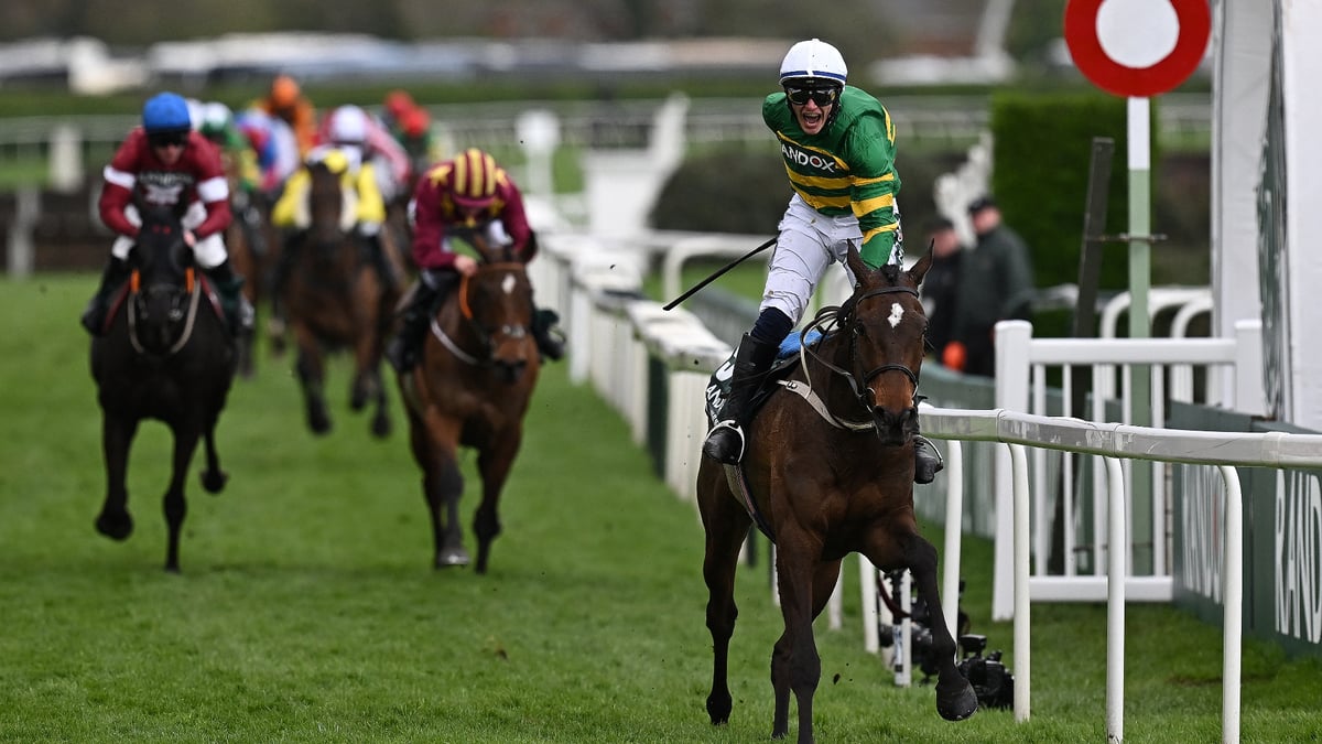 2025 Grand National Odds | I Am Maximus backed into favouritism